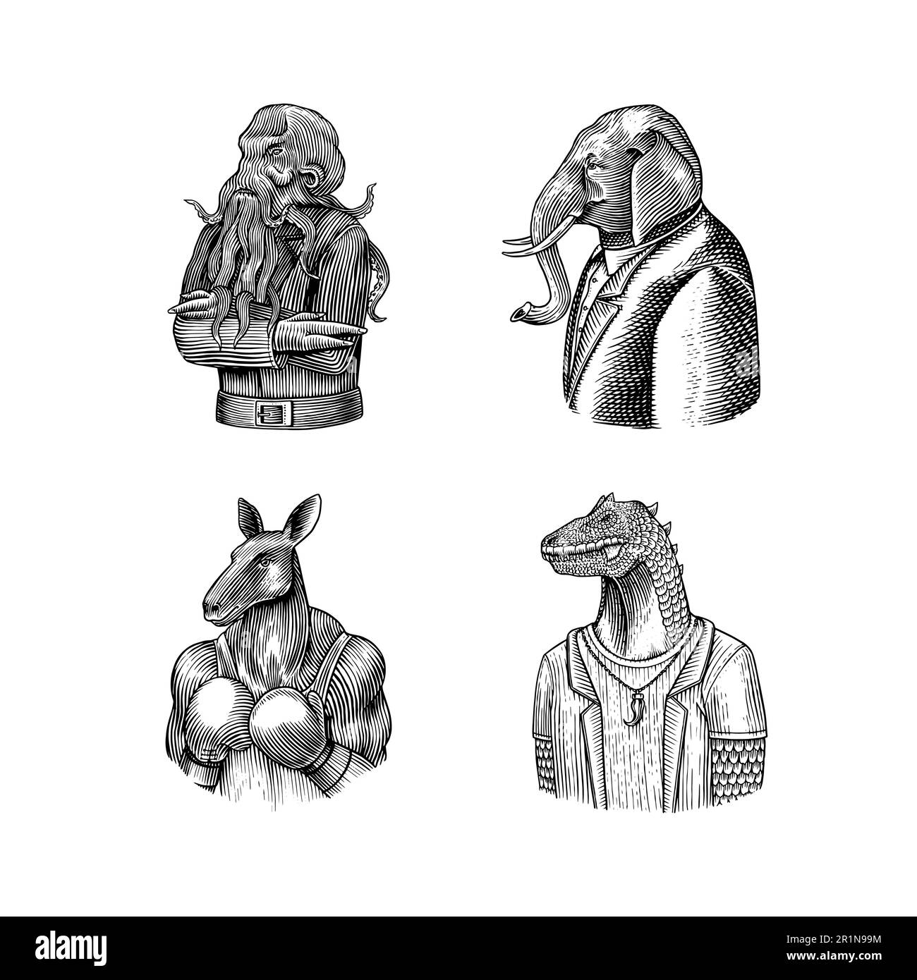 Octopus, t-rex dinosaur, Elephant gentleman, boxer kangaroo. Gentleman ...
