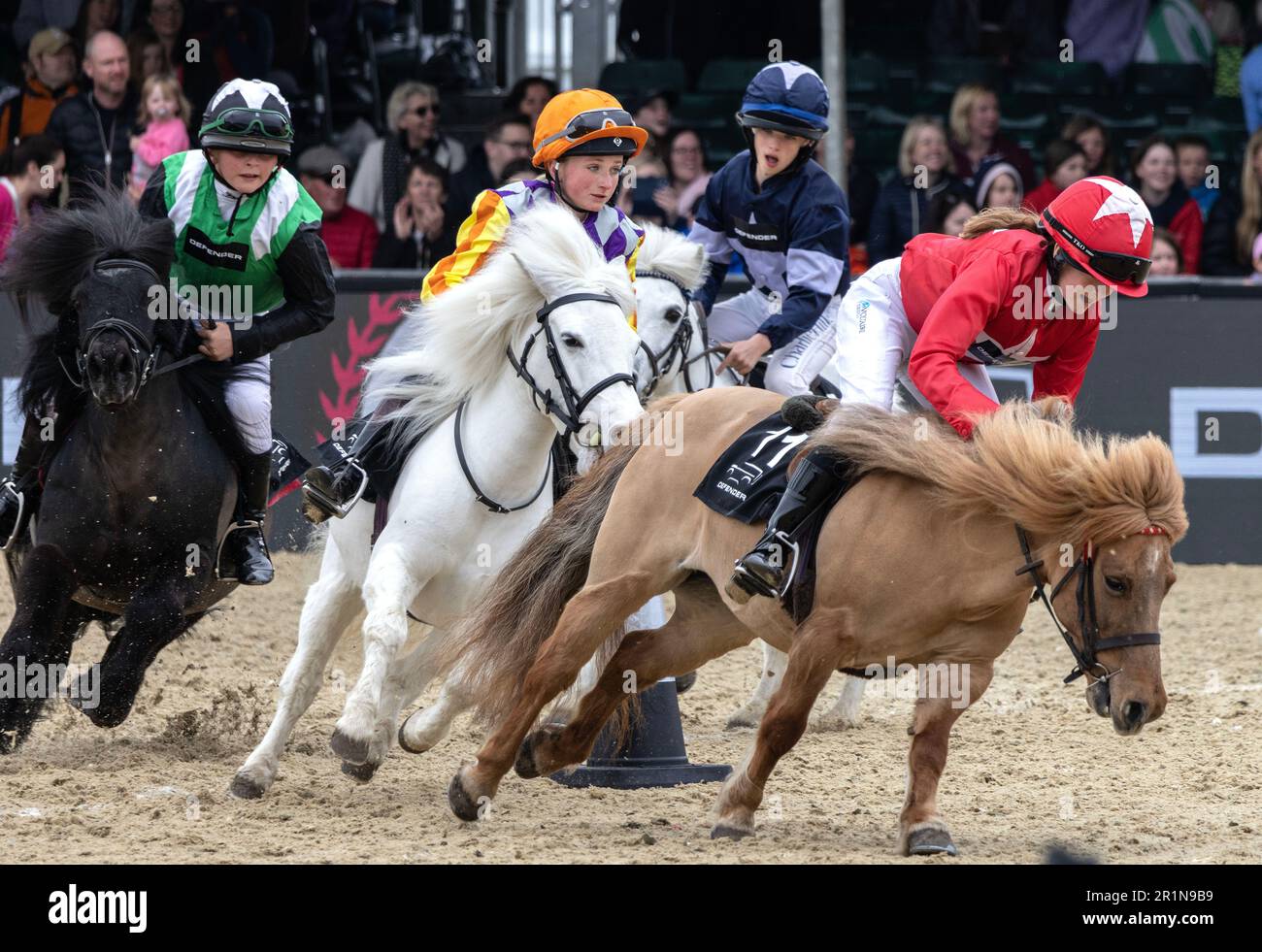 Miniature grand national hi-res stock photography and images - Alamy