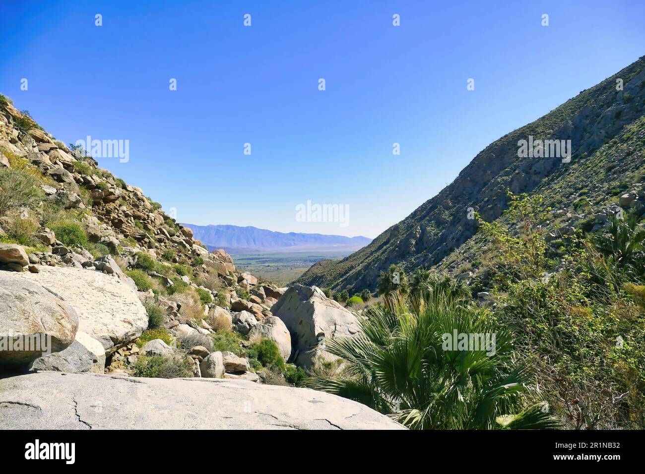 Desert landscape along the Hellhole Canyon Trail, Borrego Springs, Anza ...