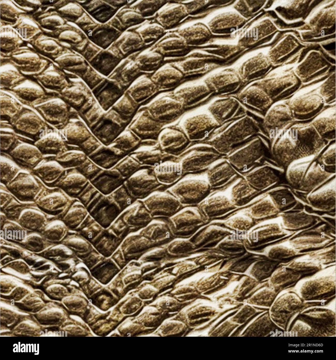 Watercolor painting. Snake skin texture background Stock Photo - Alamy