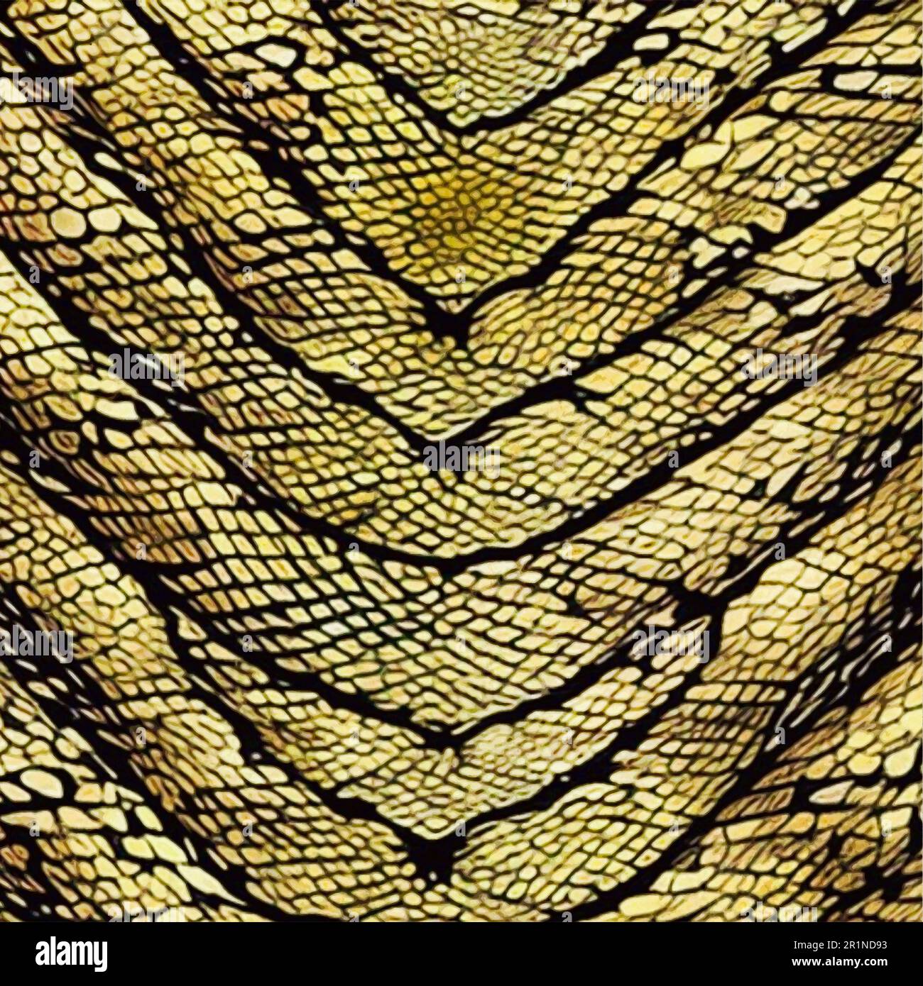 Watercolor painting. Snake skin texture background Stock Photo - Alamy