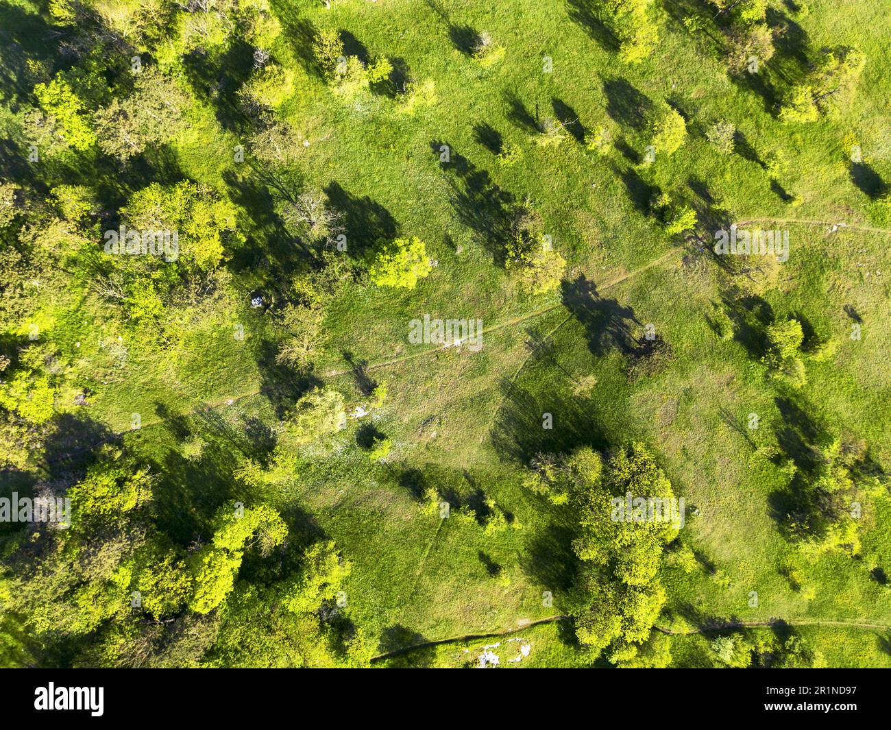 Amazon trees aerial view hi-res stock photography and images - Alamy