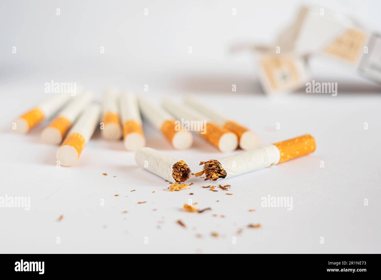 Broken cigarette on white background , World No Tobacco Day Tobacco and ...