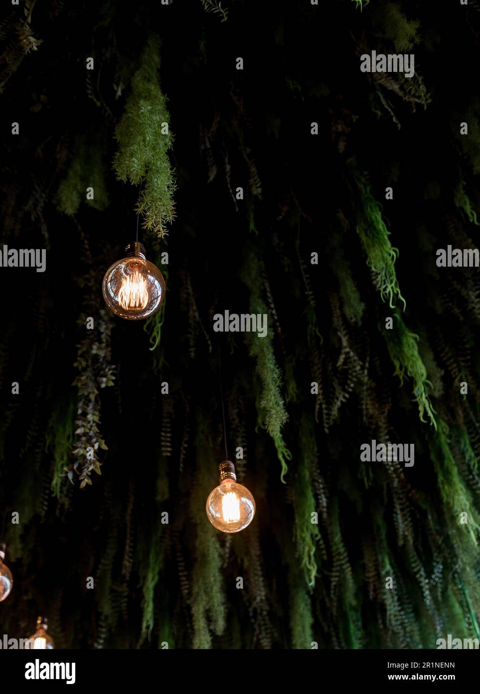 vintage light bulb hanging from ceiling for greenery decoration in ...