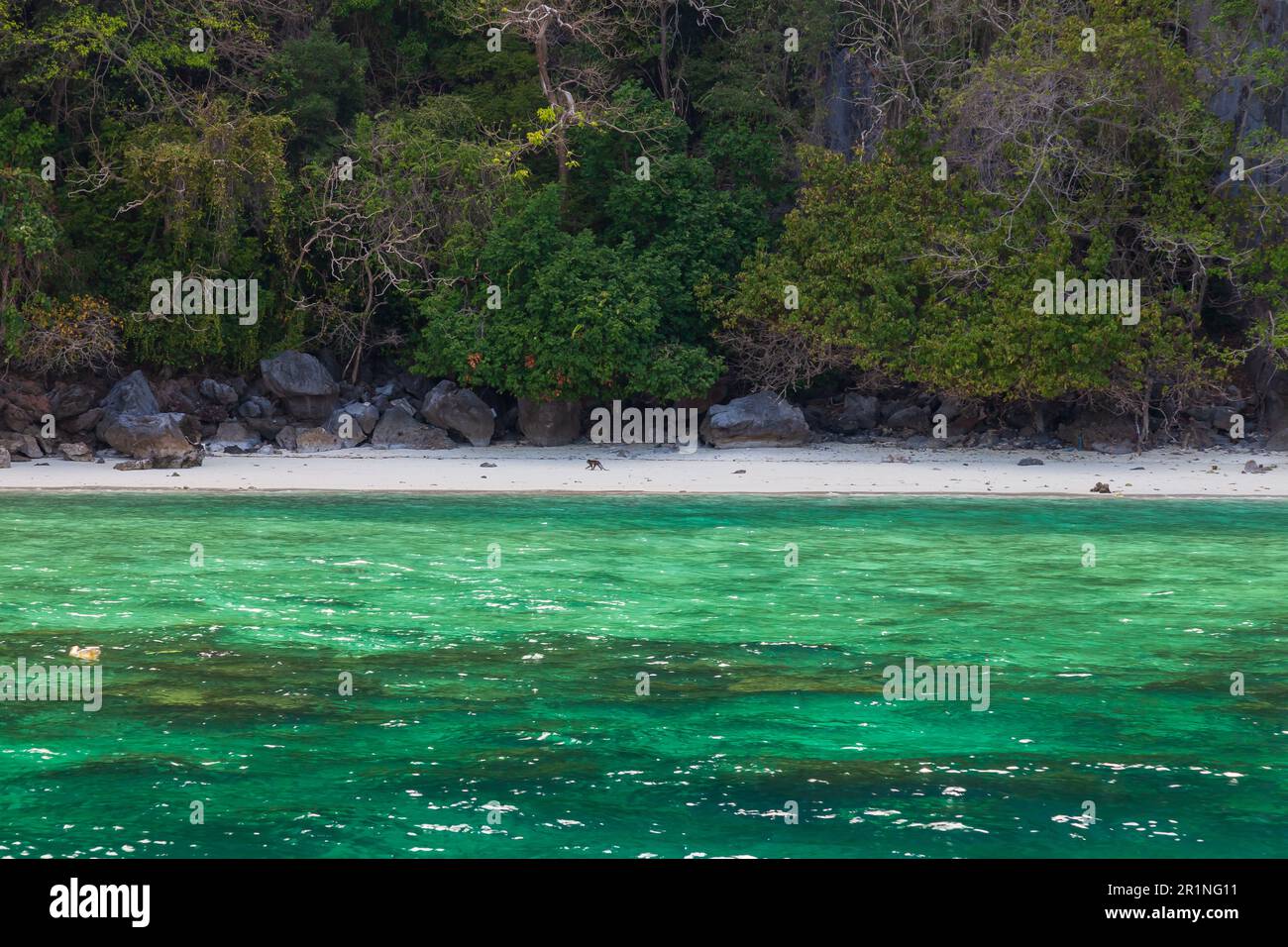 A picturesque place on the island of Phi Phi Leh - monkey island is ...