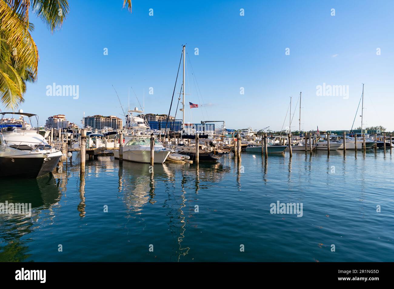 photo of yacht boat in miami dock. yacht boat in summer. yacht boat in ...