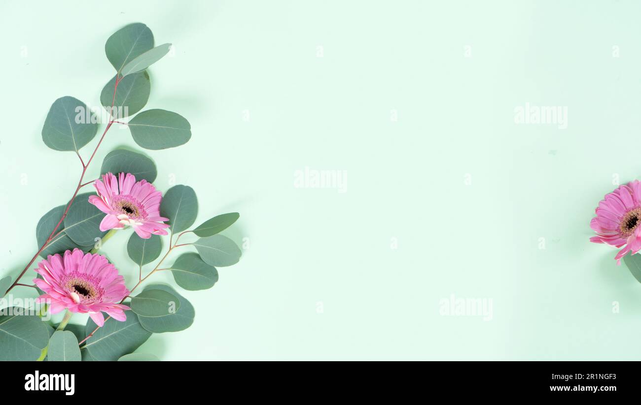 Mint Green Wedding Background Wallpaper