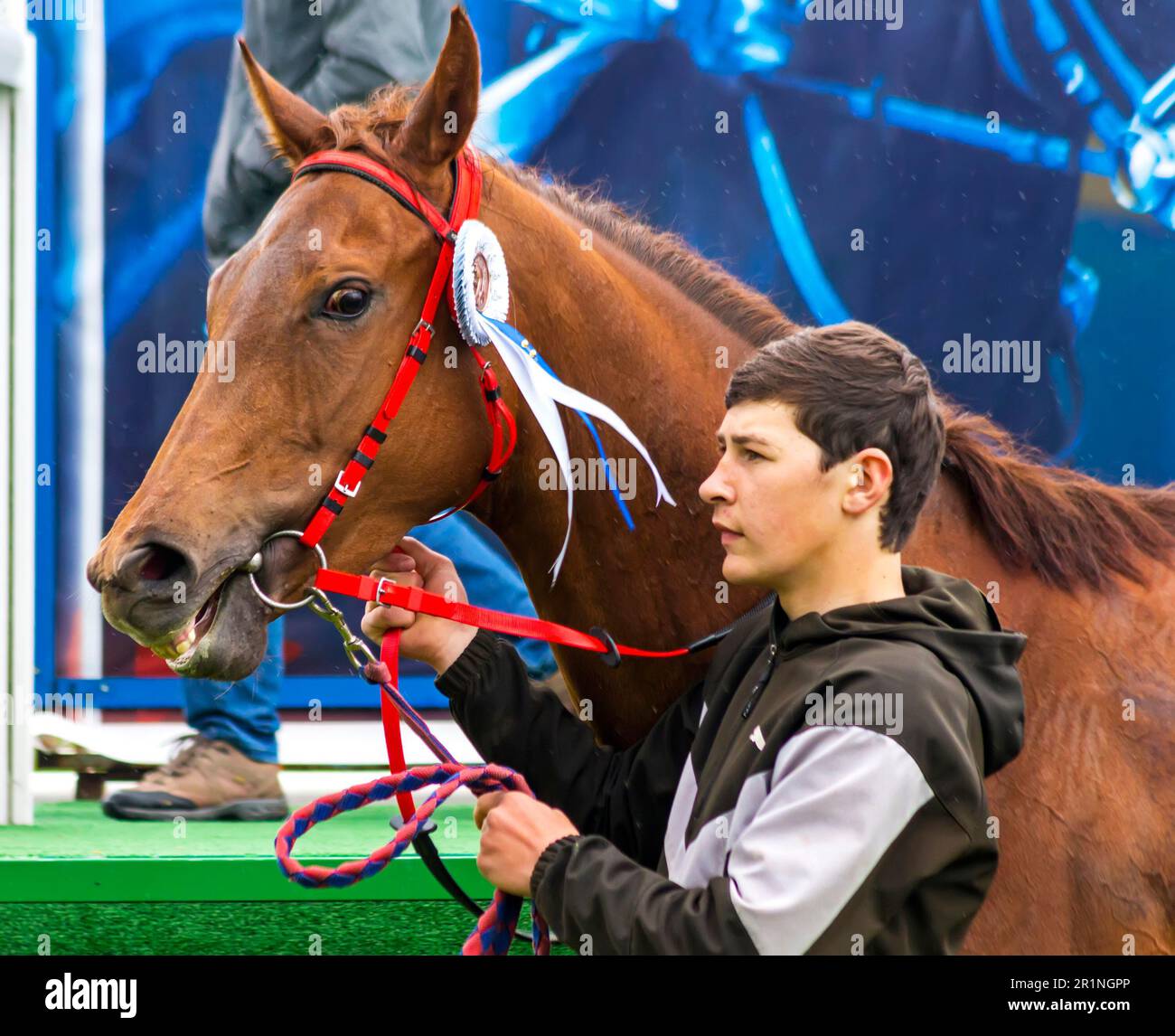 Portrait of winner Stock Photo - Alamy