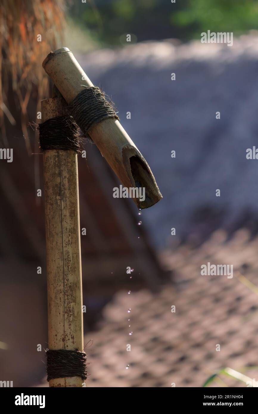 Dripping bamboo hi-res stock photography and images - Alamy