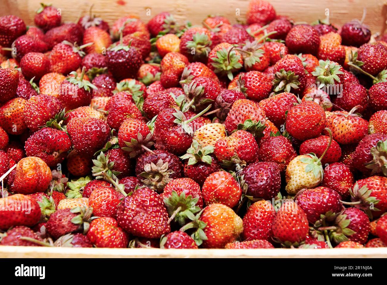 Big wooden box with a ripe red strawberries inside. Fruits and food ...