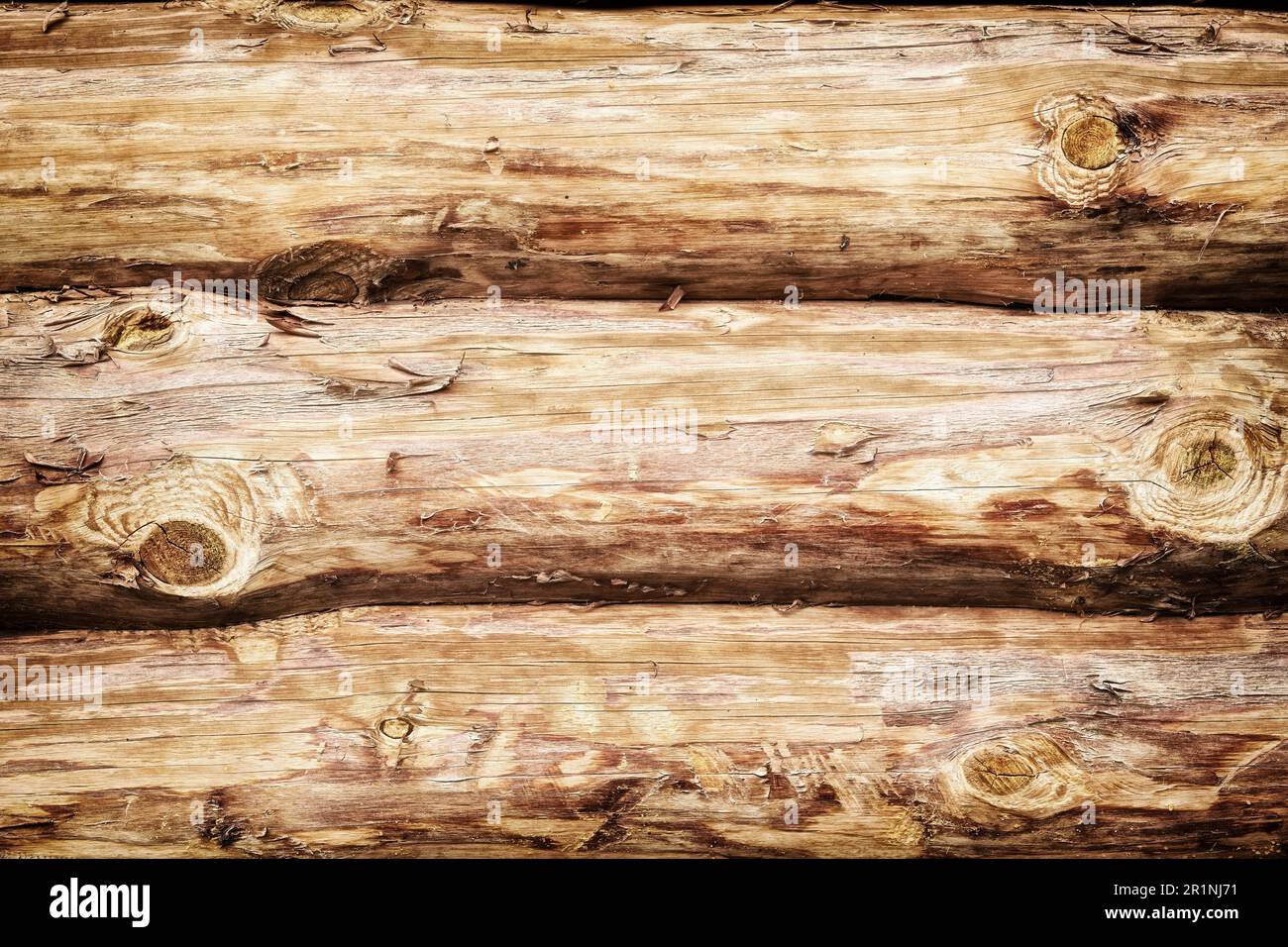 Large wooden wall texture from freshly cut logs of tree trunks ...