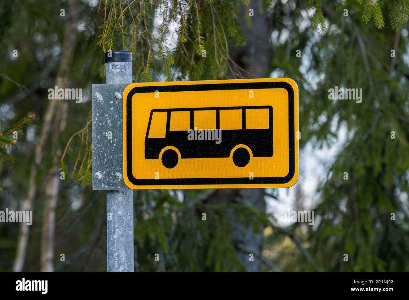 Yellow local bus stop sign in Finland, with green pine trees in the ...