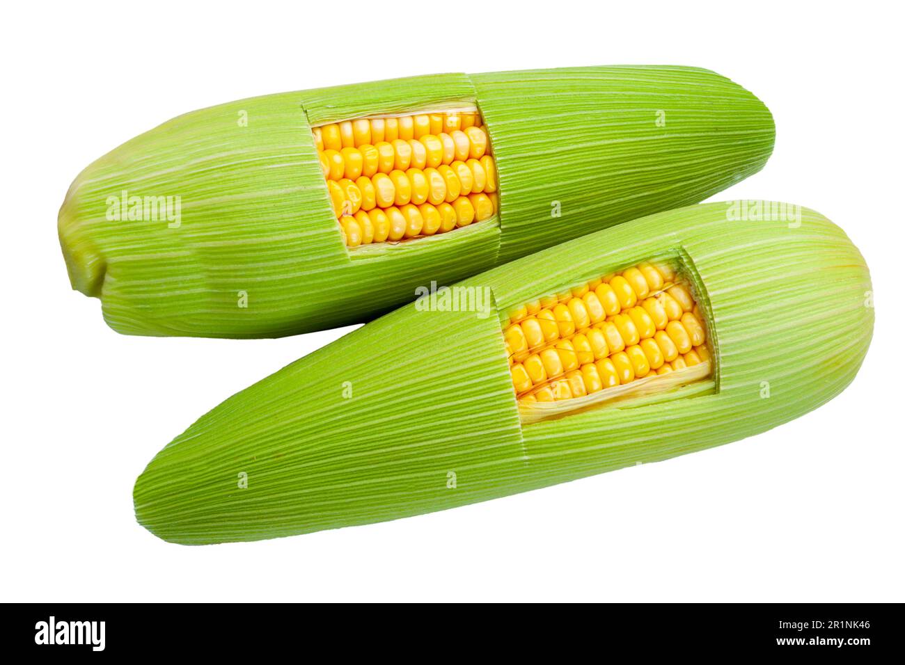 Green maize corn field Cut Out Stock Images & Pictures - Alamy