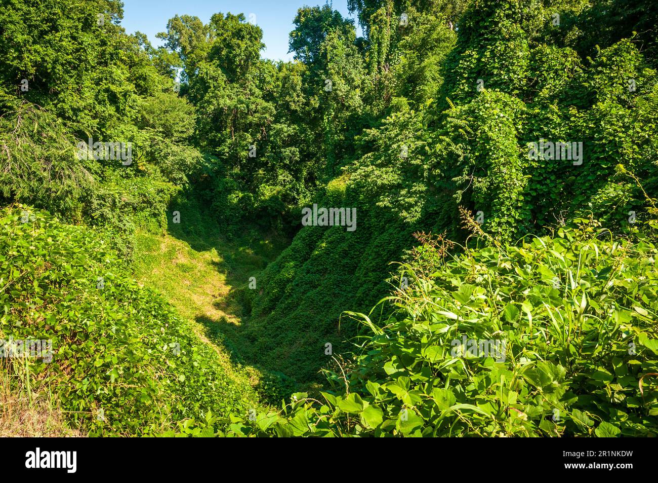 Steep ravines hi-res stock photography and images - Alamy