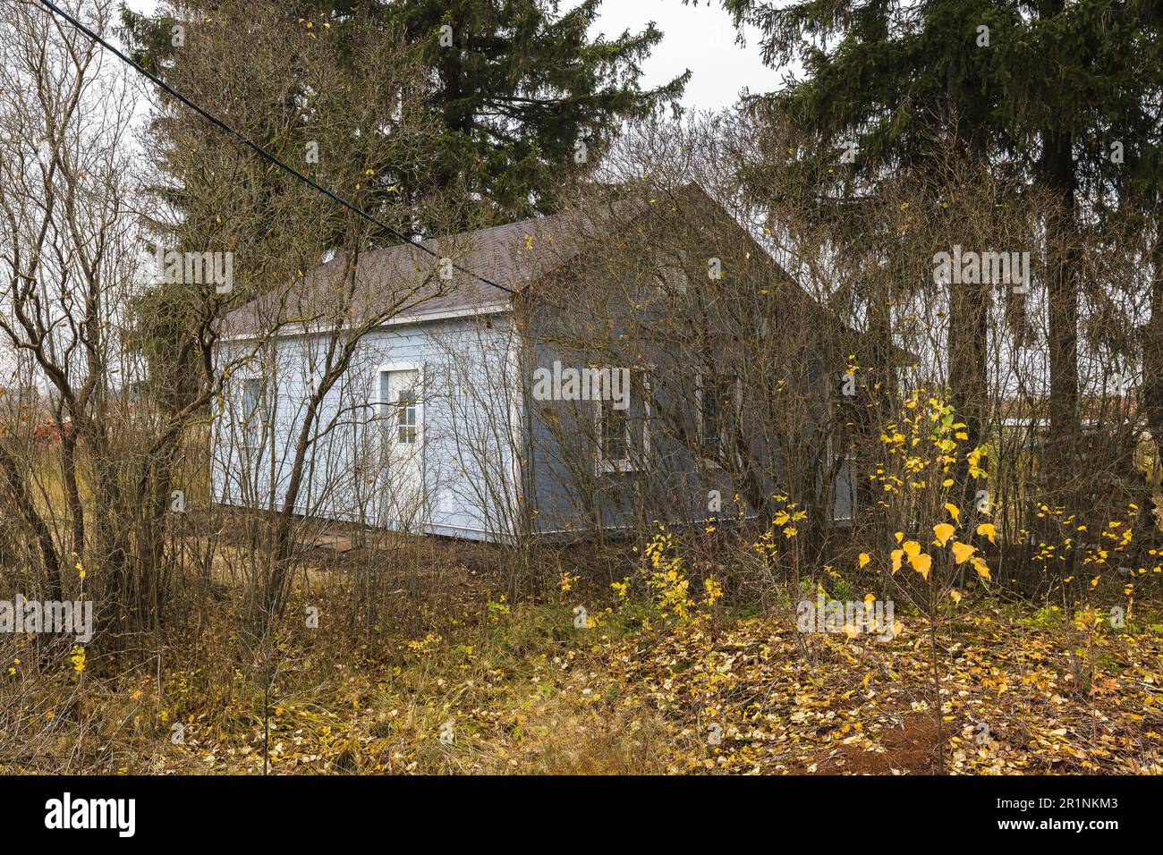 Small cozy blue house in the forest under tree Stock Photo - Alamy