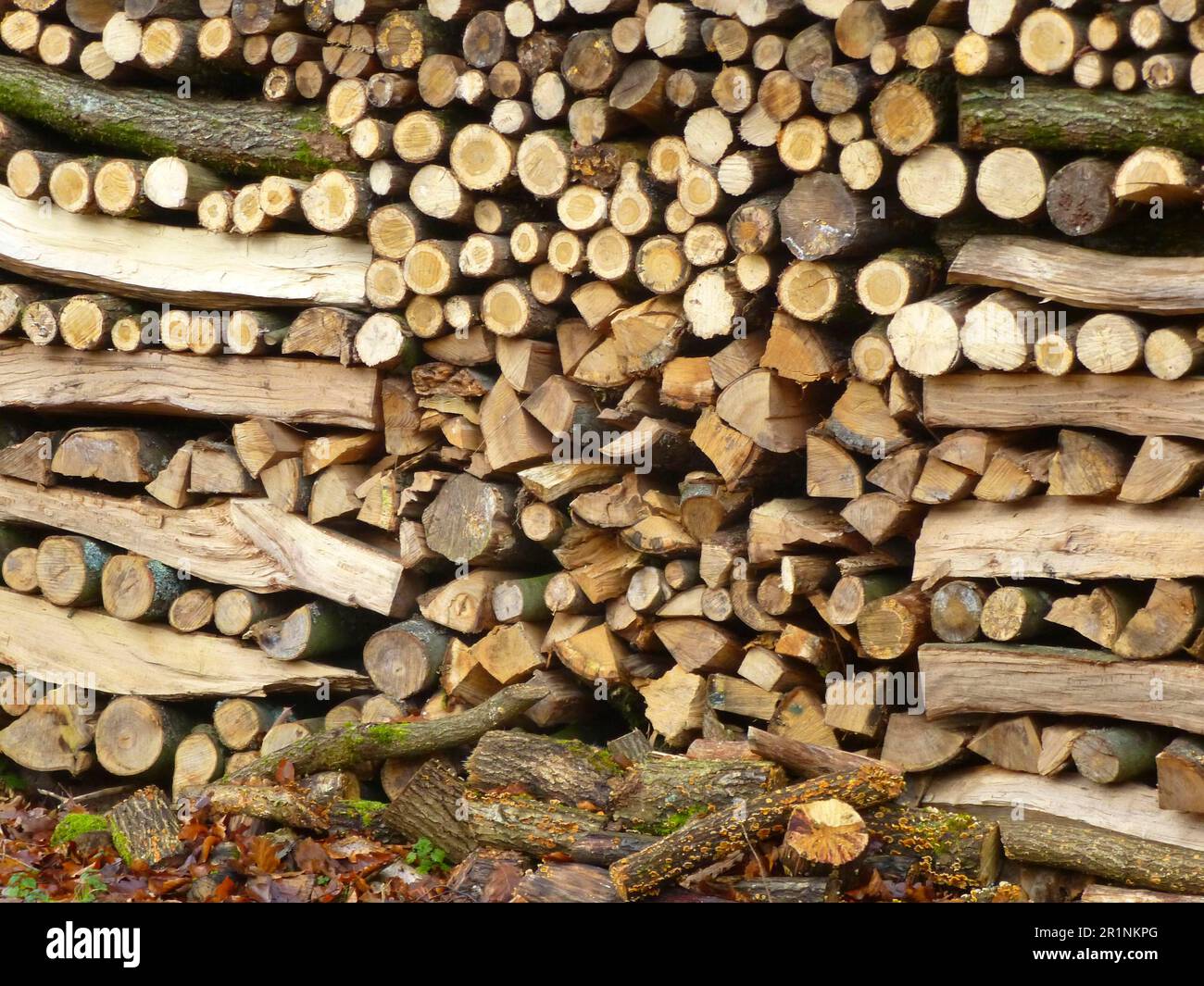 Woodpile firewood near forest hi-res stock photography and images - Alamy
