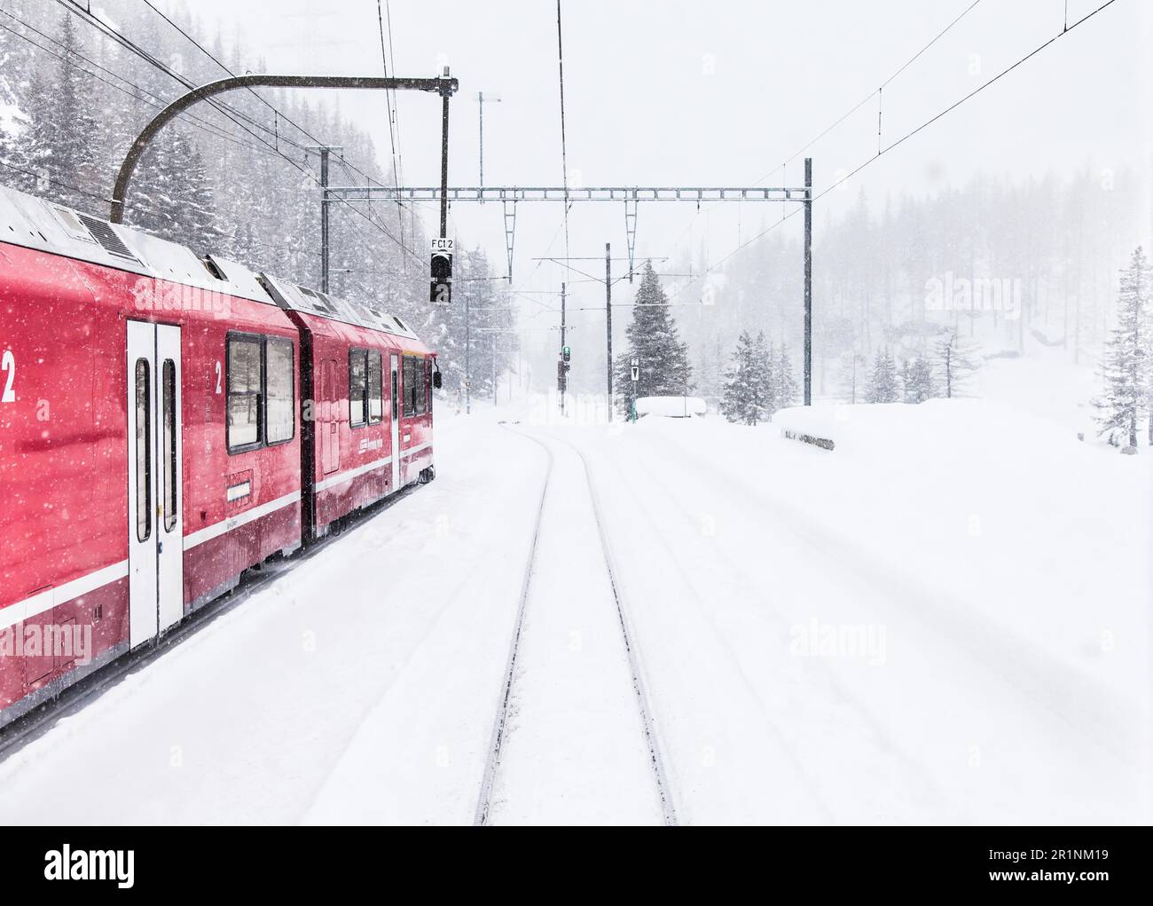 The famous Bernina red train, Unesco monument, in the middle of a ...