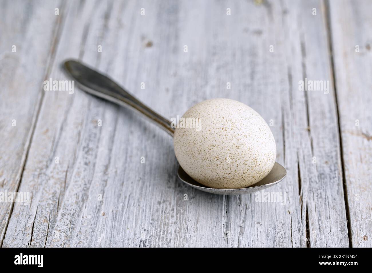 Large whole single egg from the duck on spoon Stock Photo - Alamy