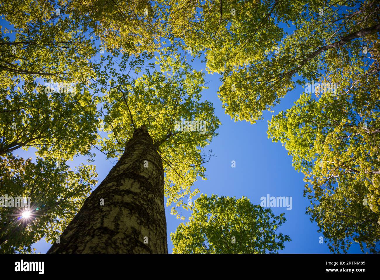 Pictured Rocks National Lakeshore in Michigan Stock Photo - Alamy