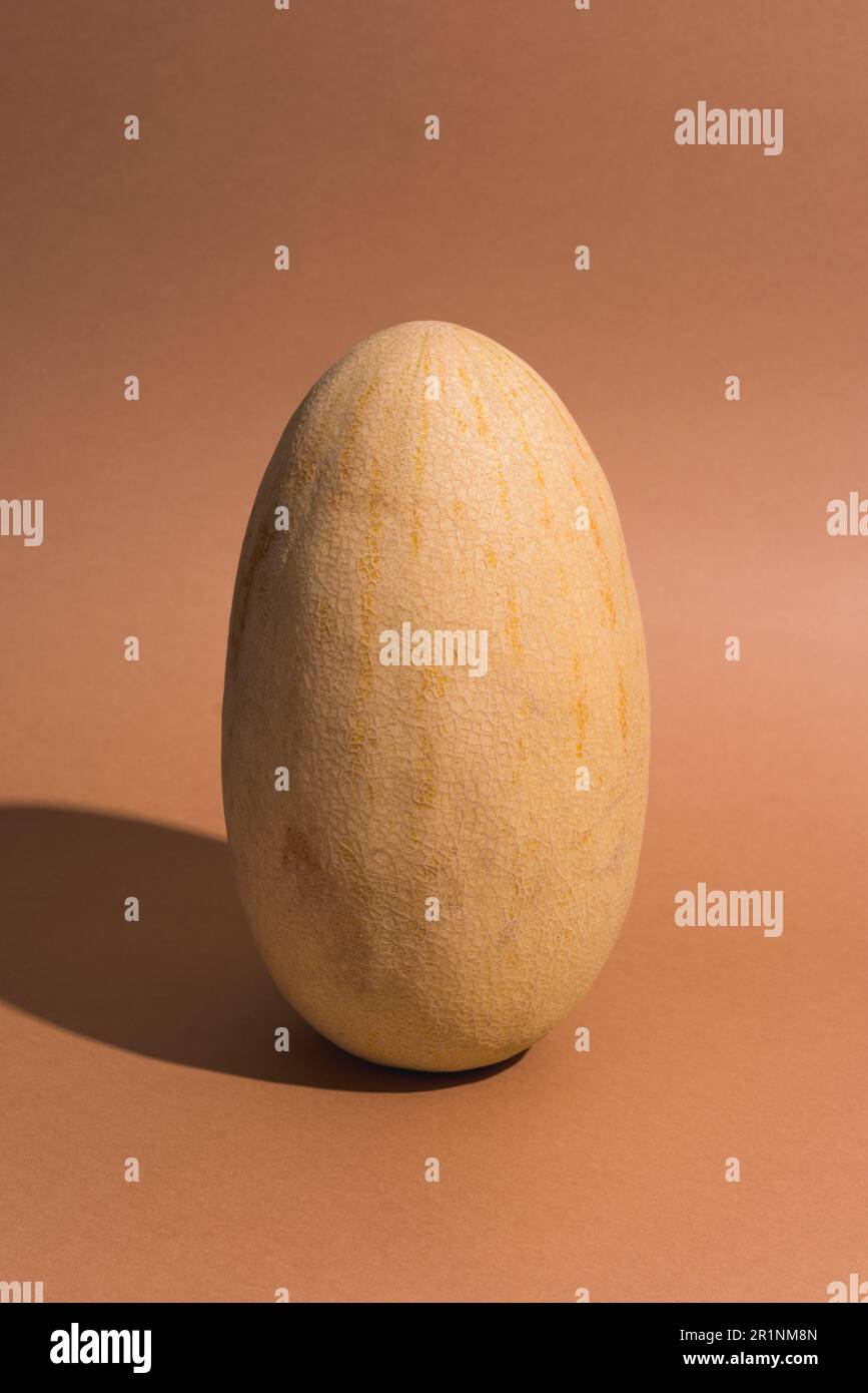 Fresh melon stand on a beige color background with a sharp shadow Stock ...