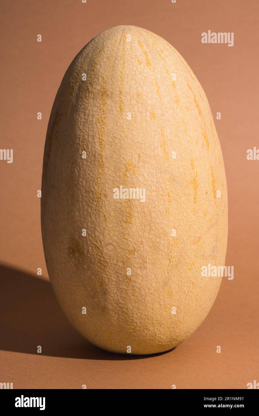 Melon stand on a beige color with a sharp shadow Stock Photo - Alamy