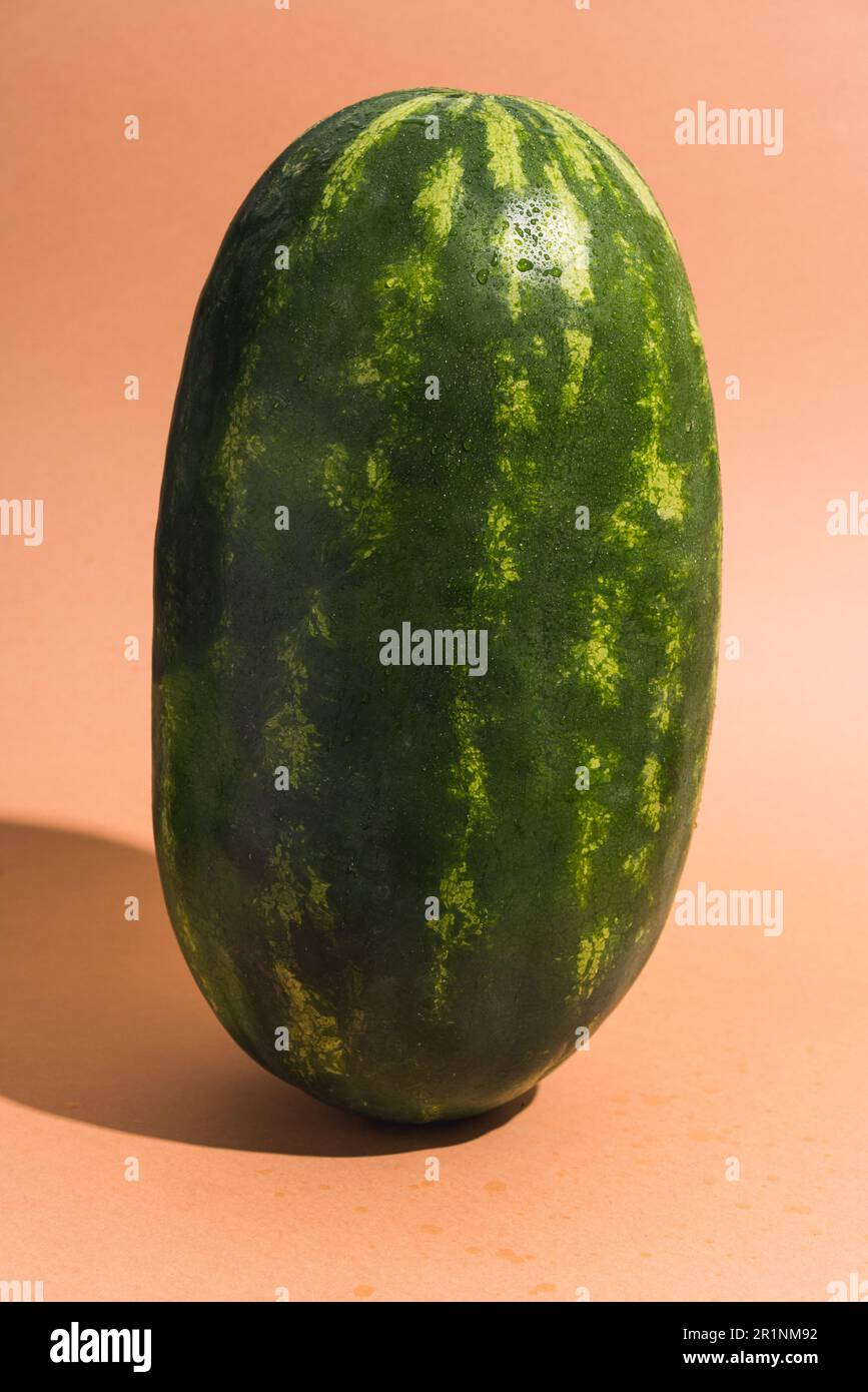 Watermelon standing on a beige color background with a sharp shadow ...