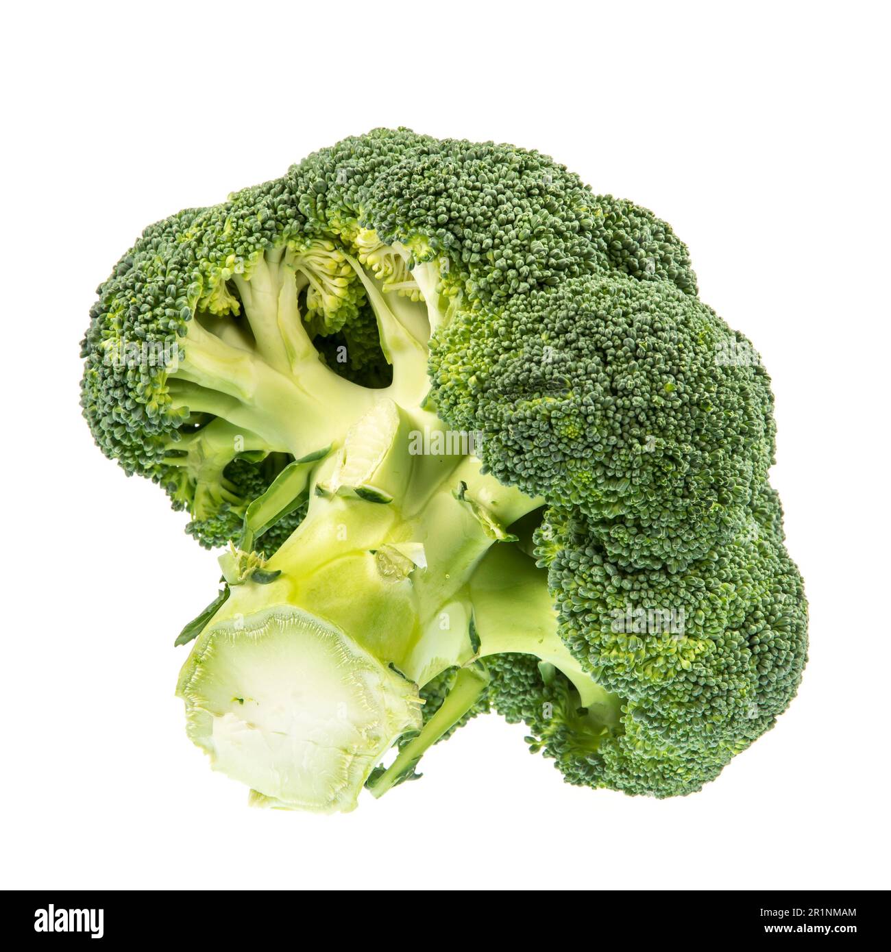 Isolated fresh green broccoli vegetable Stock Photo - Alamy