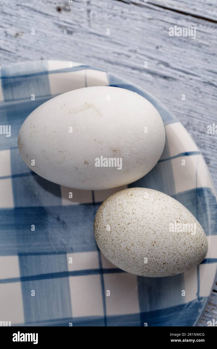 Large whole duck and goose eggs on plate Stock Photo - Alamy