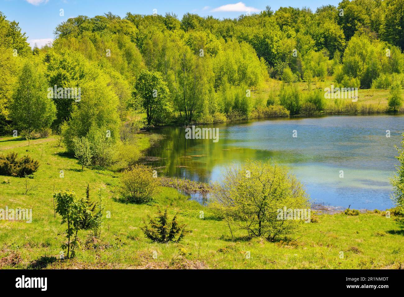 scenery with mountain pond. forest reflecting in the water surface ...