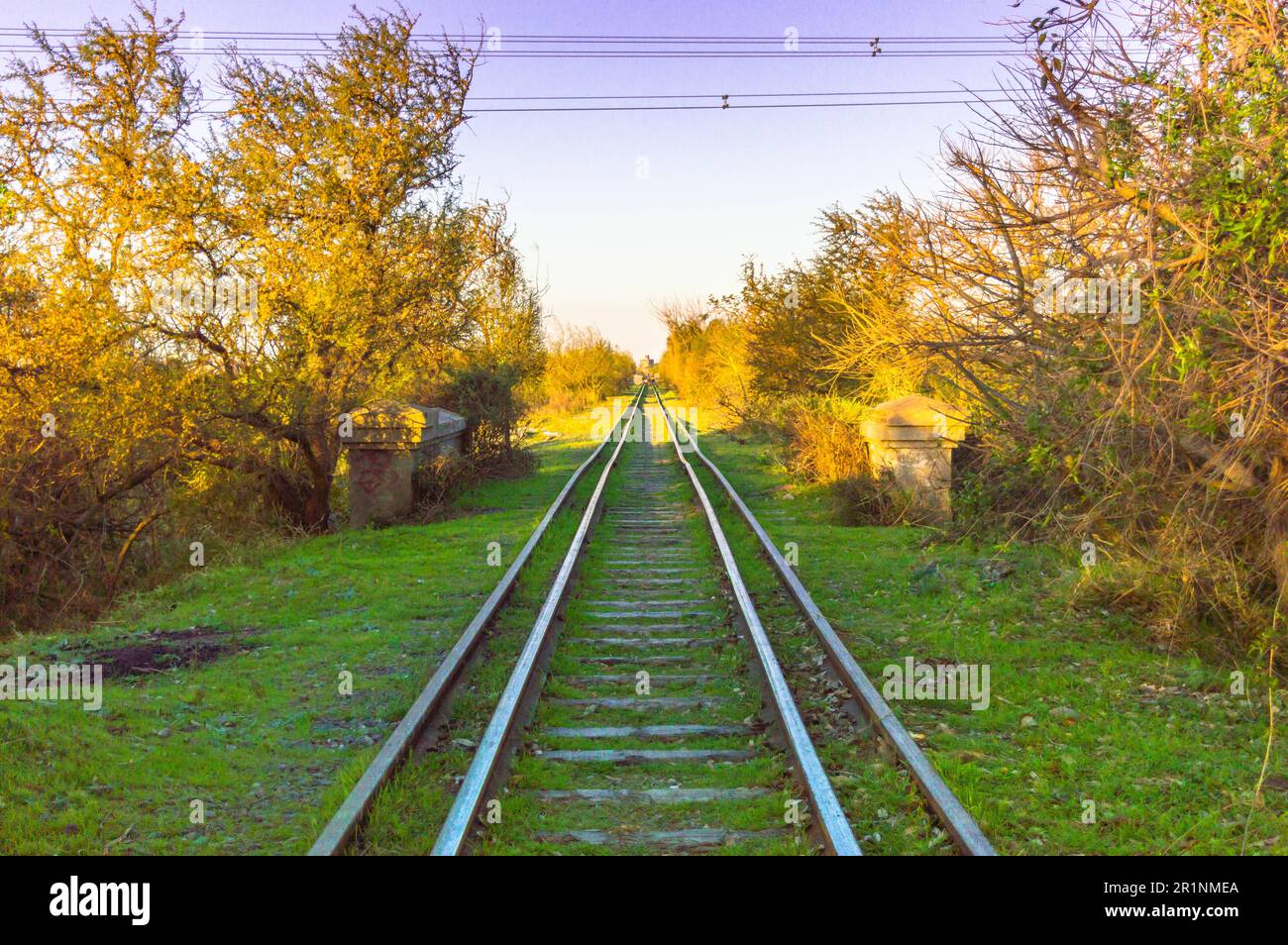 Train tracks that meet on the horizon Stock Photo - Alamy