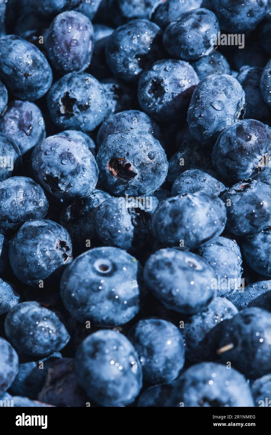 Blueberry close up Stock Photo - Alamy