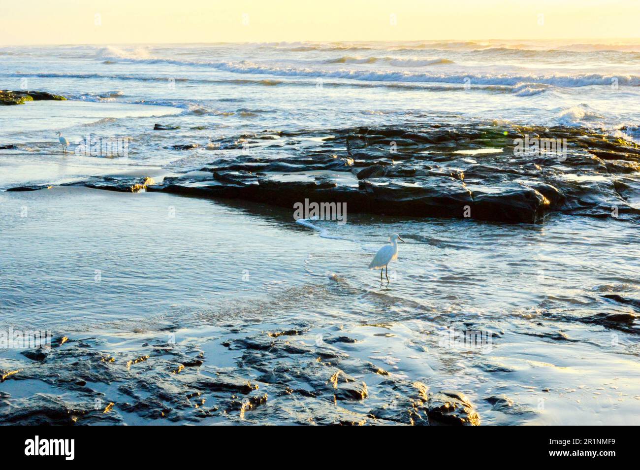 Sunrise on the beach of Torres, Brazil Stock Photo - Alamy