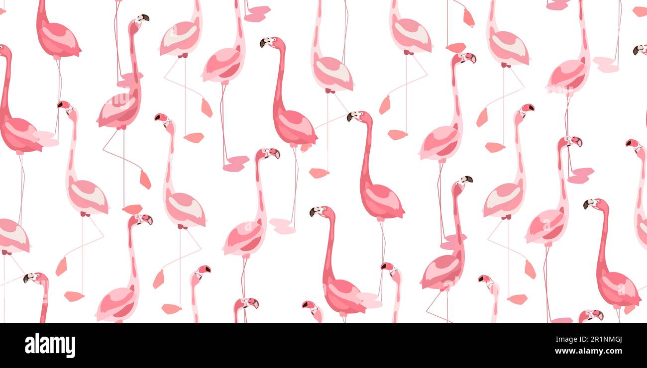 Seamless flamingo bird pattern. Zoo collection. Pink, white vector ...