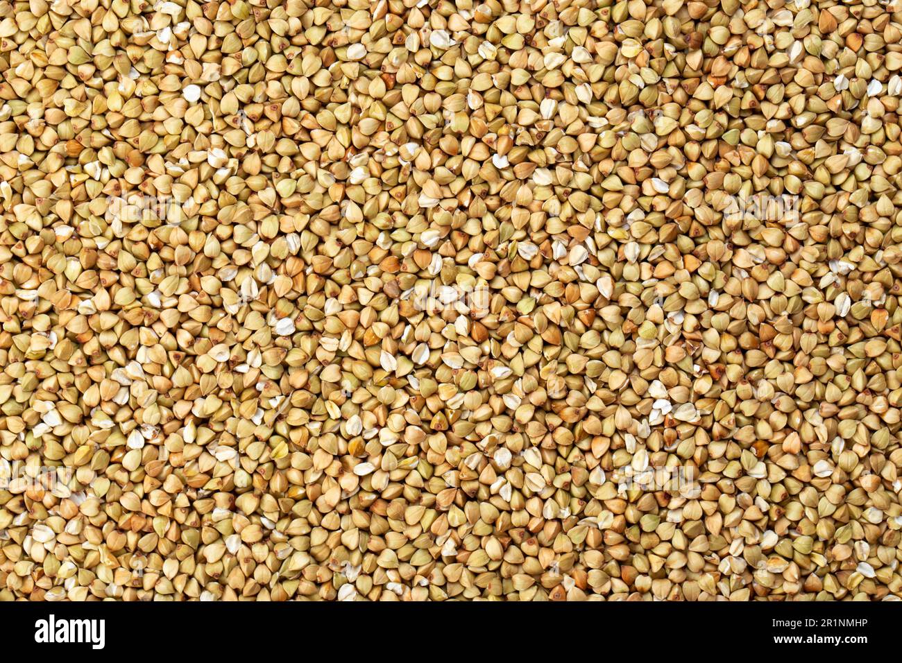 fresh buckwheat. dry buckwheat background. buckwheat texture. brown ...