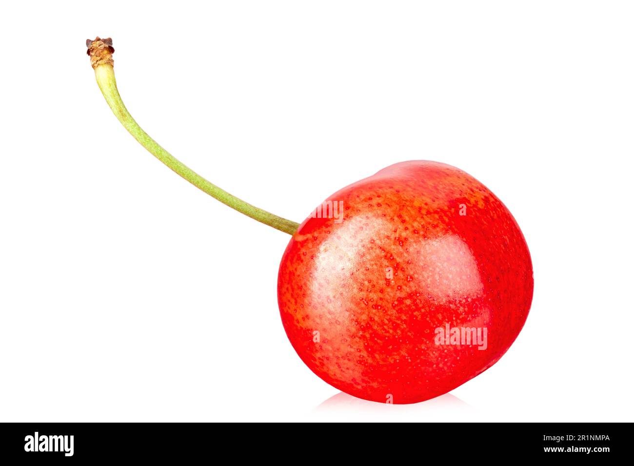 One ripe red cherry on a stalk. Isolated on white background. File ...