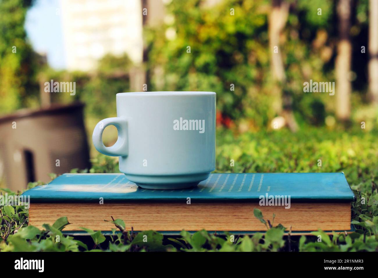 Book in the forest hi-res stock photography and images - Alamy