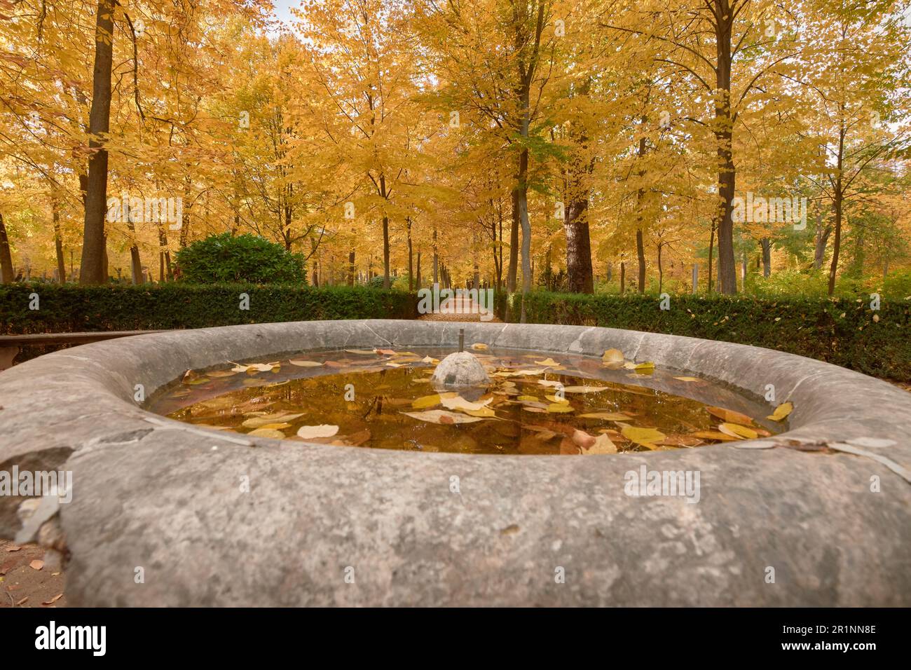 Stone fountain with brown leaves in the garden of the Parterre in ...