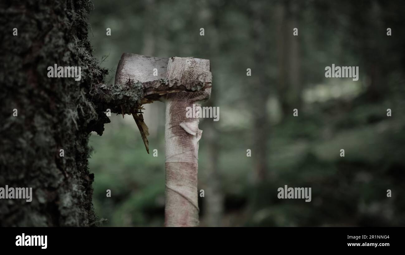Old Norse Hatchet In The Forest Stock Photo - Alamy