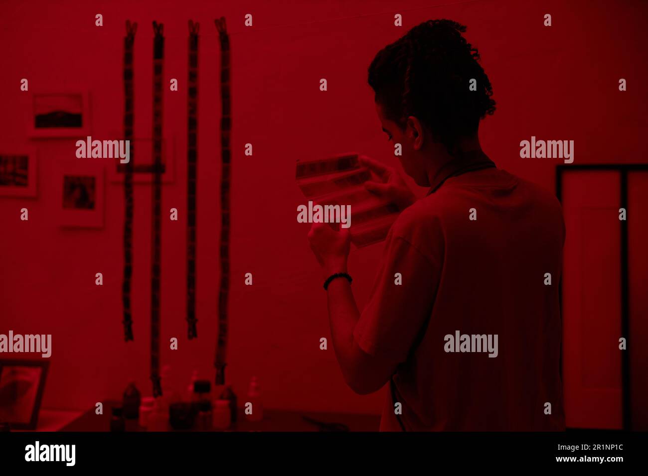 Rear view of young photographer working with photo film in darkroom ...