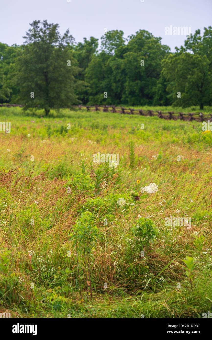 Wilson's Creek National Battlefield, in the Ozarks, Missouri Stock ...