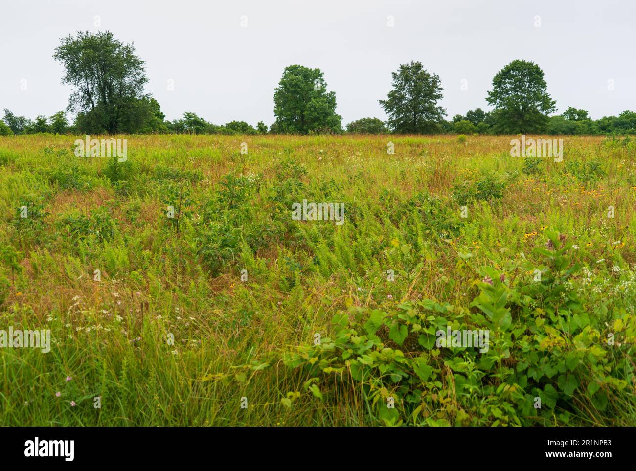 Wilson's Creek National Battlefield, in the Ozarks, Missouri Stock ...
