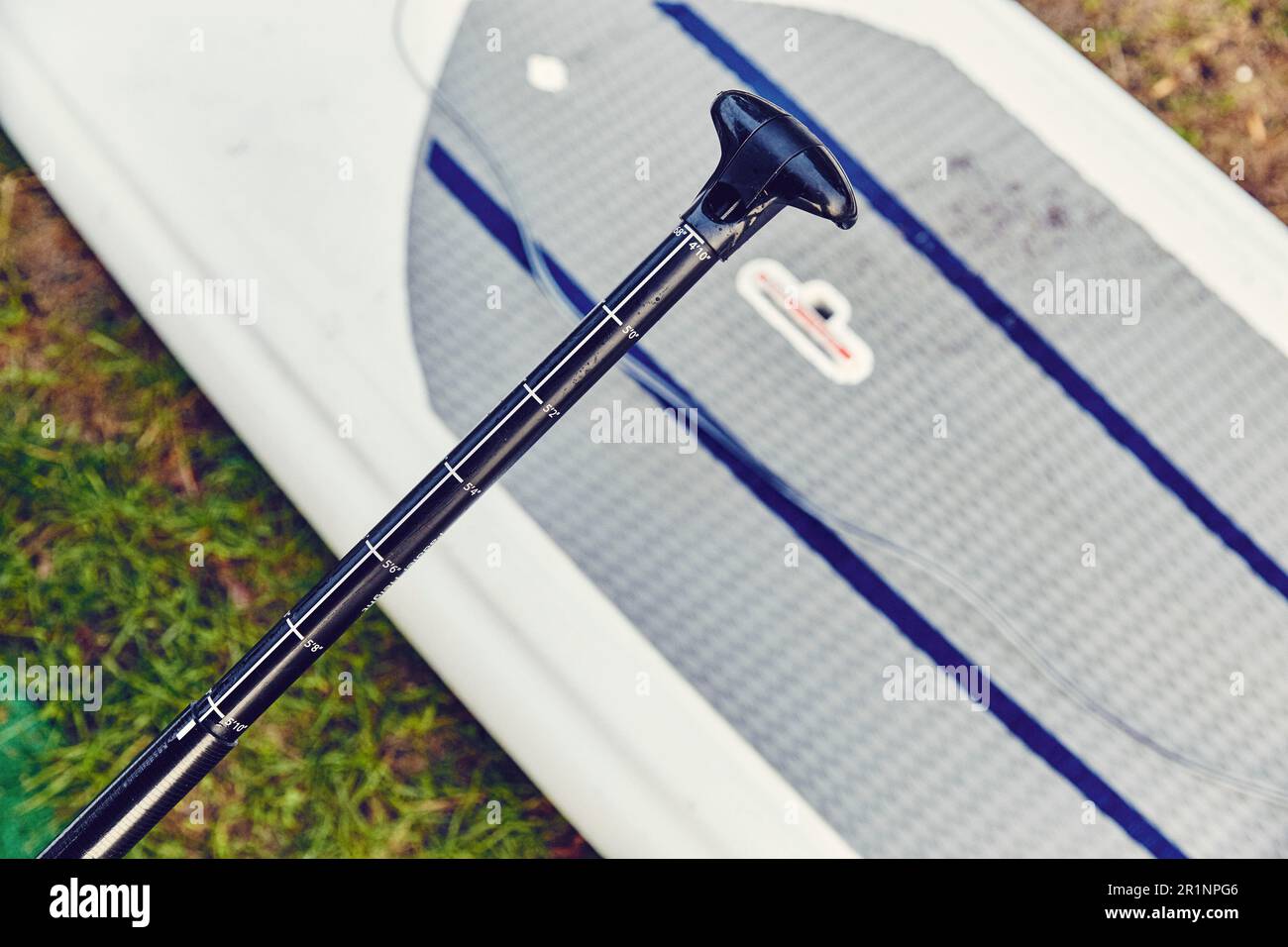 Portland paddle hi-res stock photography and images - Alamy