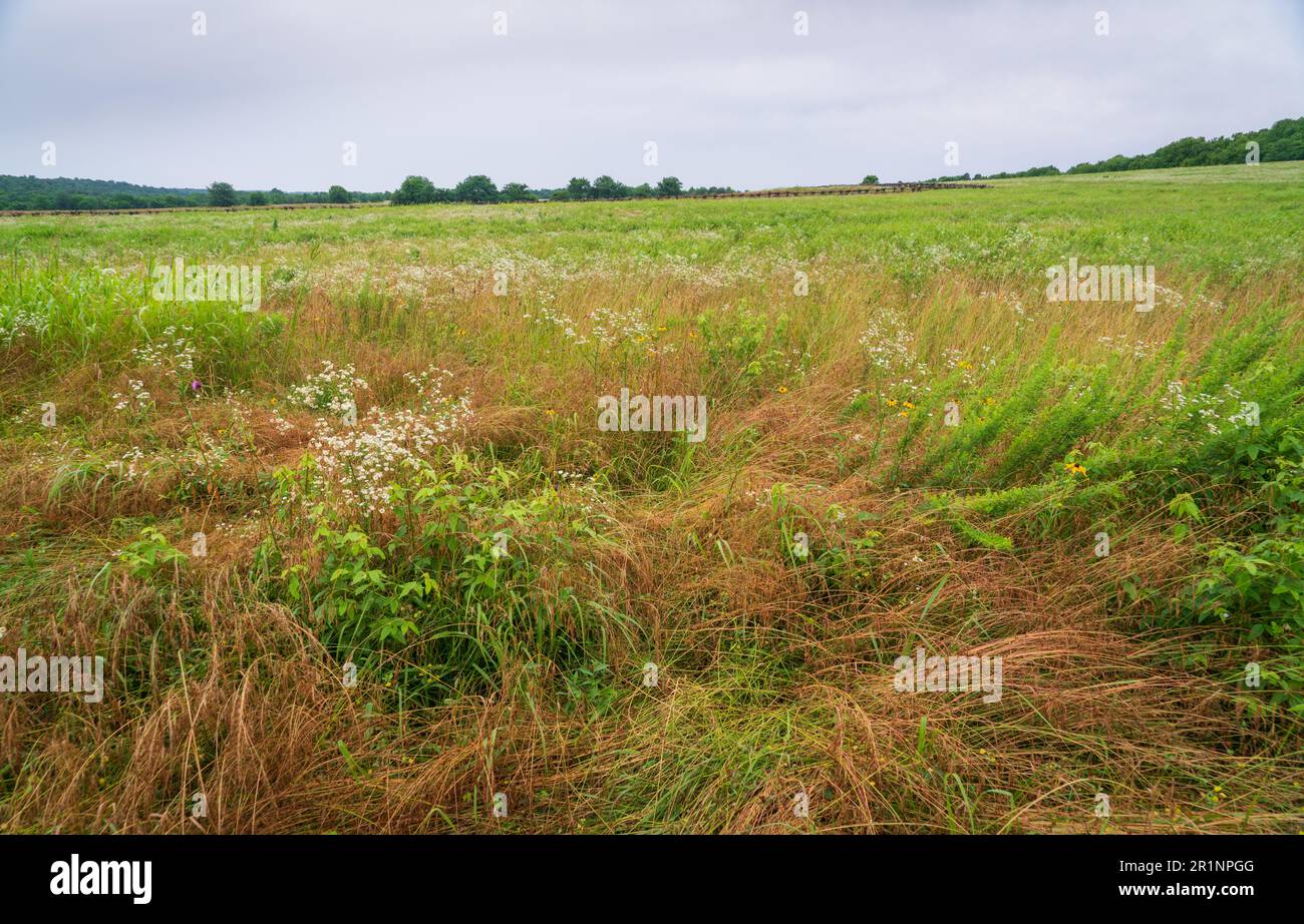 Wilson's Creek National Battlefield, in the Ozarks, Missouri Stock ...