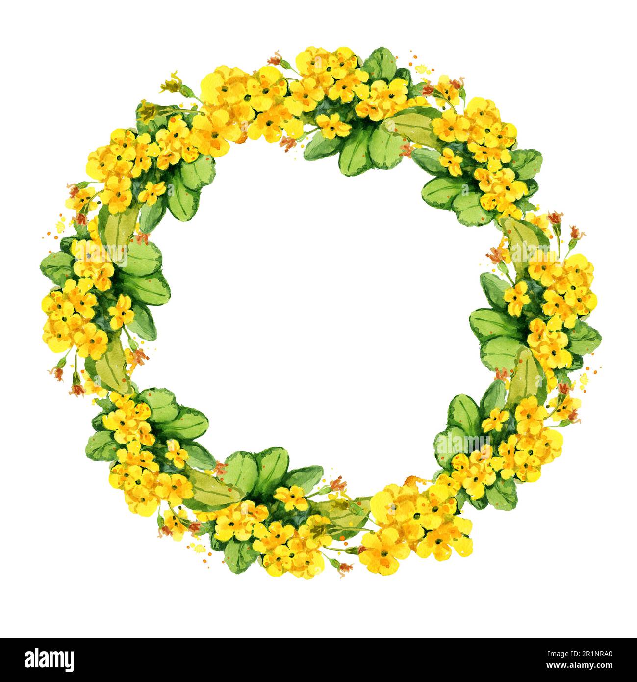 watercolor round wreath with yellow primrose evening flowers, hand ...