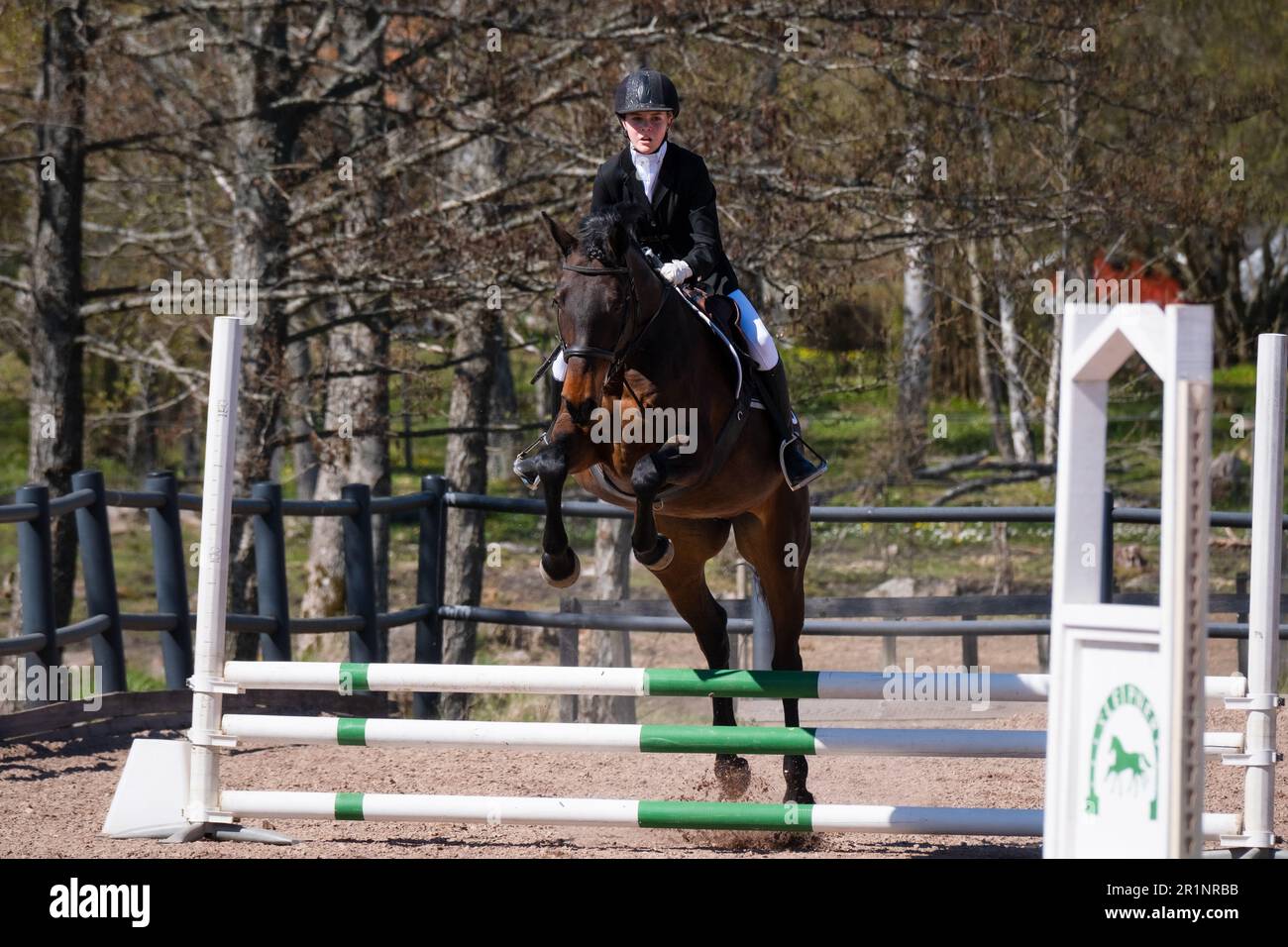 Sleipner horse hi-res stock photography and images - Alamy