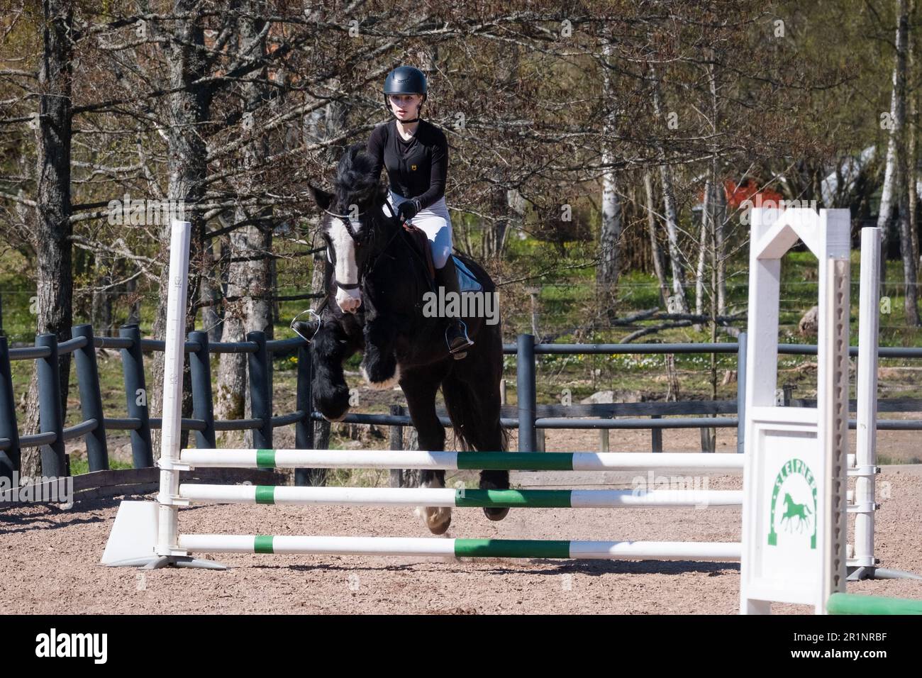 SHOW JUMPING, LOCAL EVENT, ACTION: A local Invitational Show Jumping ...