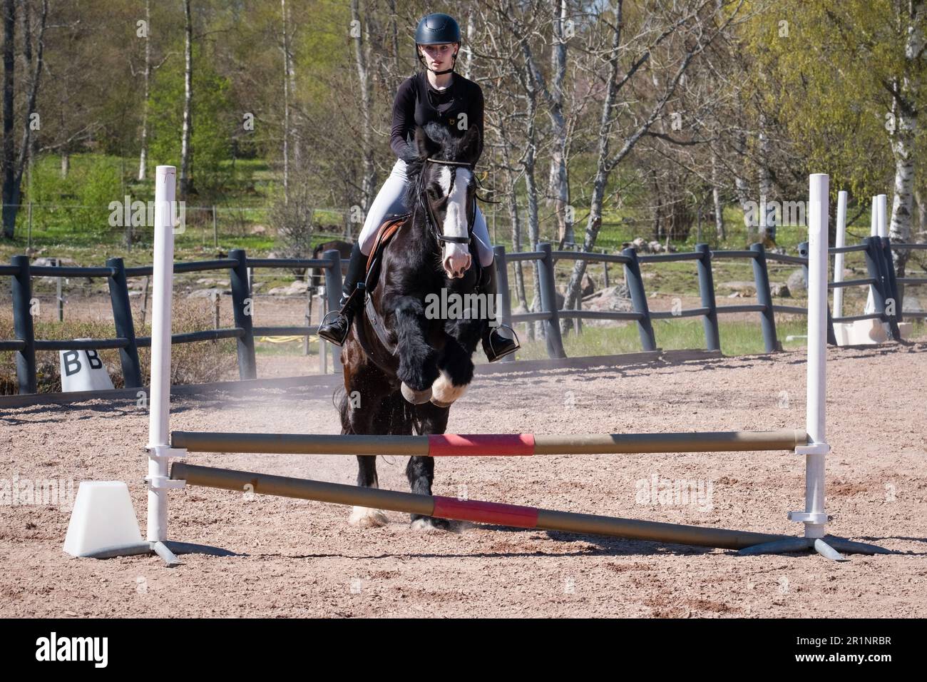SHOW JUMPING, LOCAL EVENT, ACTION: A local Invitational Show Jumping ...
