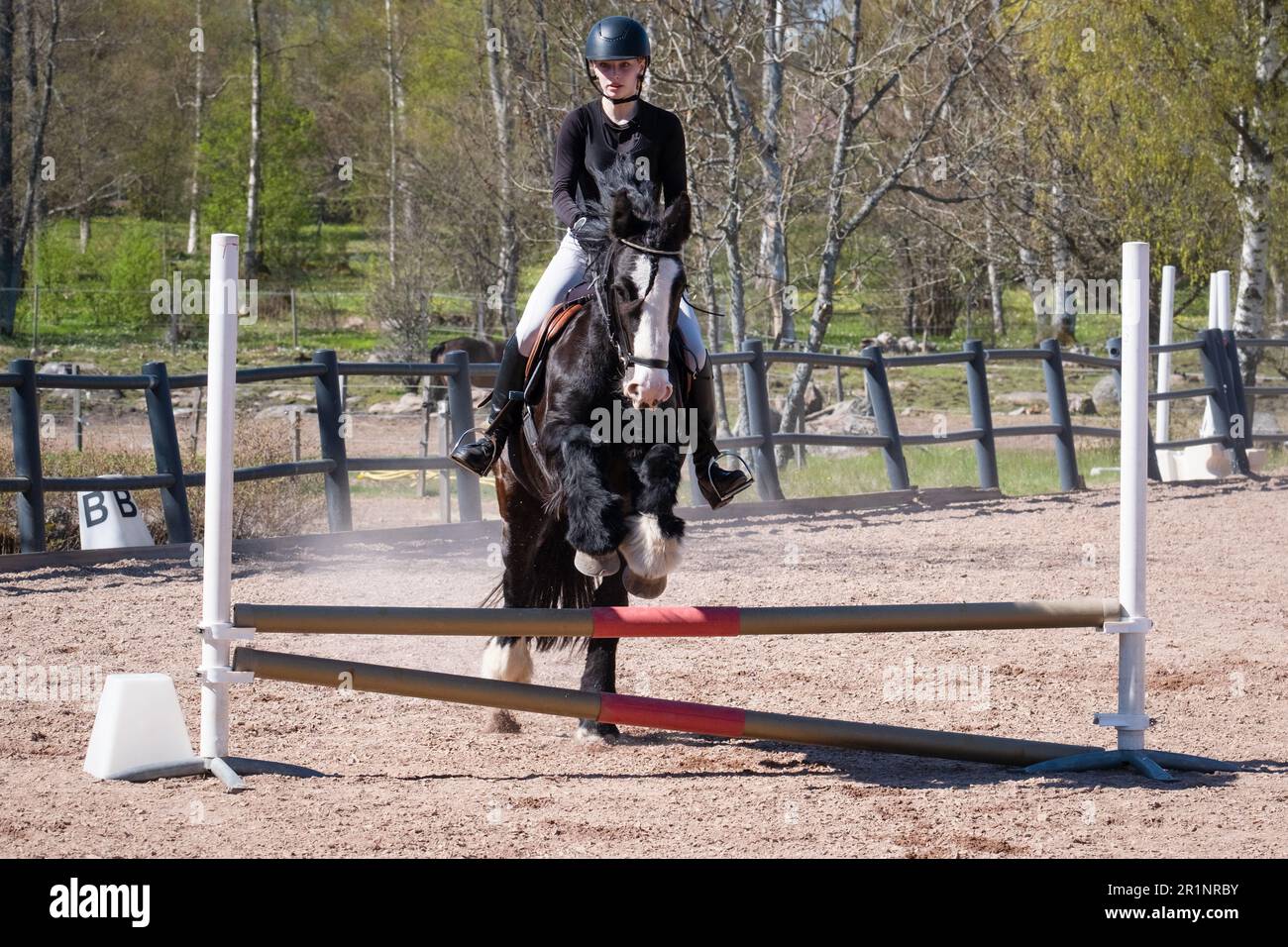 SHOW JUMPING, LOCAL EVENT, ACTION: A local Invitational Show Jumping Equestrian Event at ...