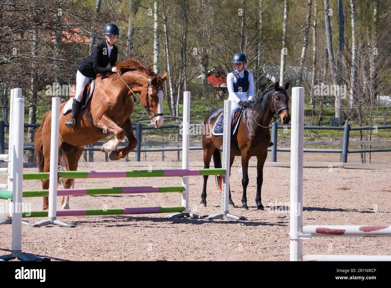 SHOW JUMPING, LOCAL EVENT, ACTION: A local Invitational Show Jumping ...