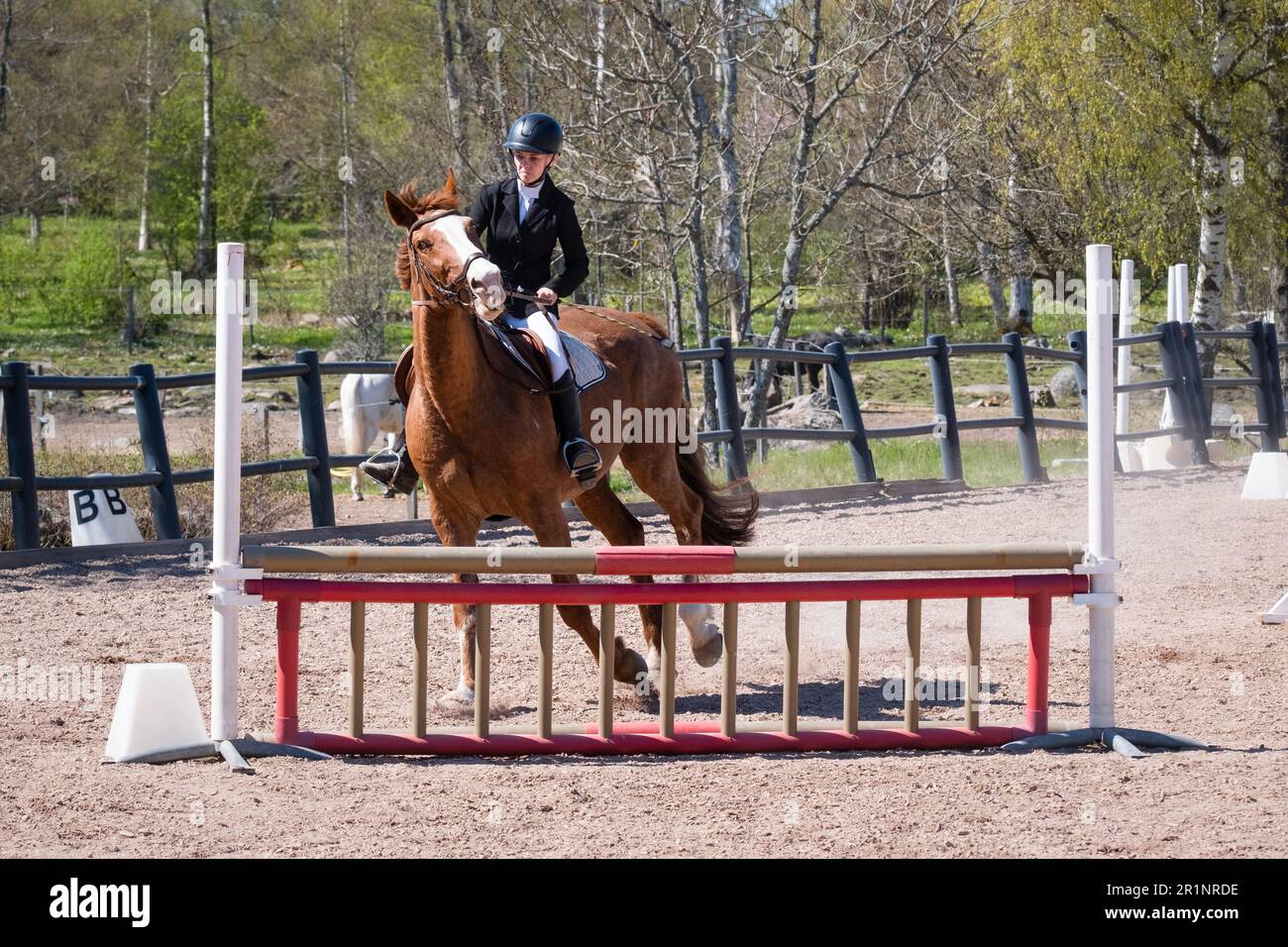 SHOW JUMPING, LOCAL EVENT, ACTION: A local Invitational Show Jumping ...